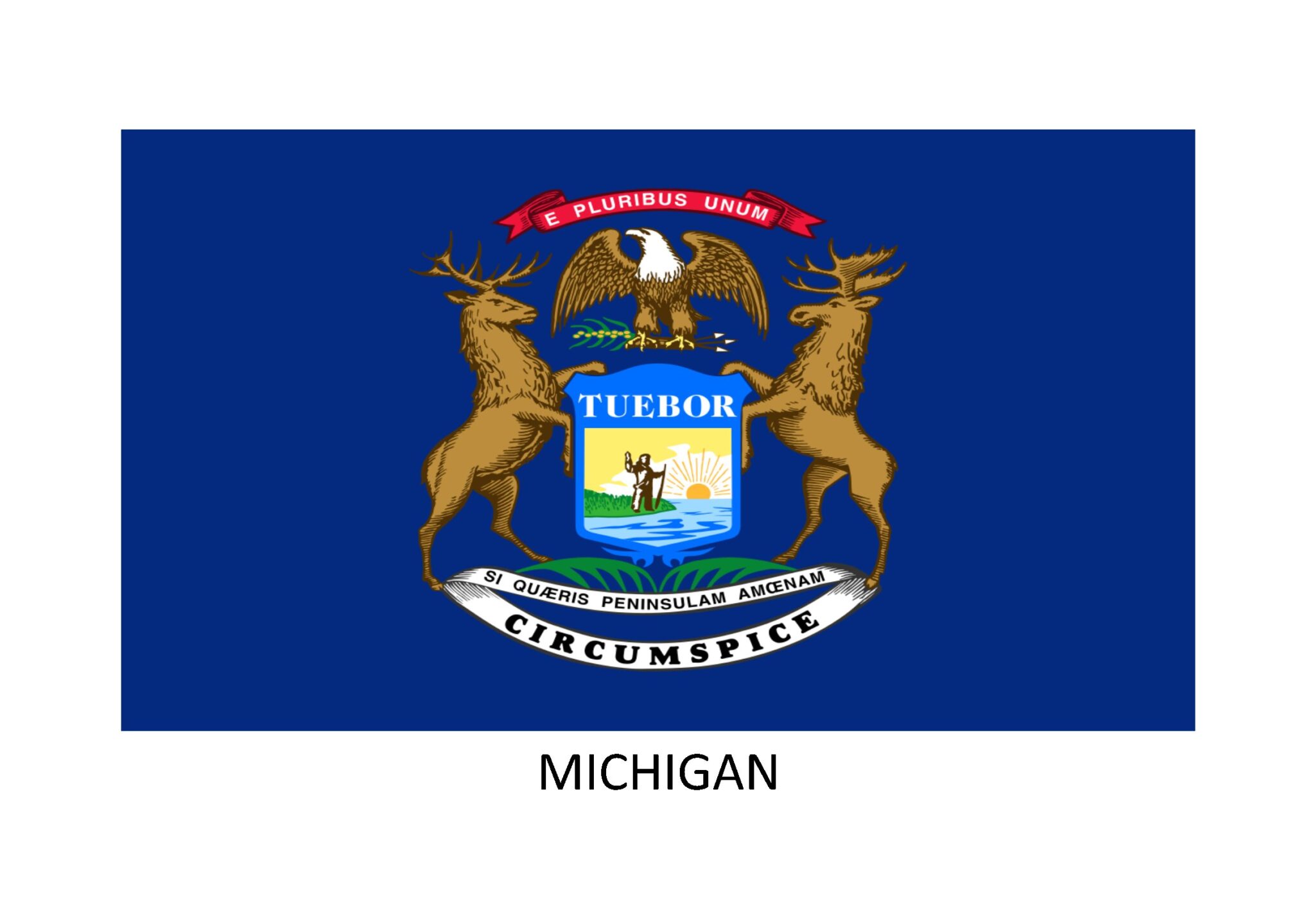 Michigan Money Transmitter License Requirements | Money Transmitter ...